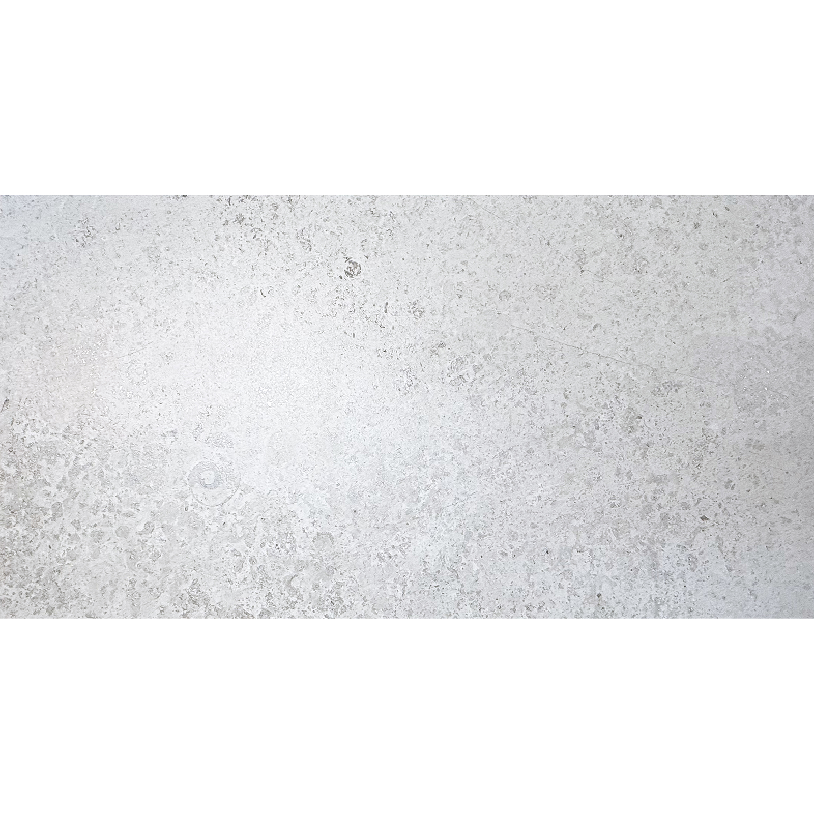 BODENFLIESE STEINOPTIK FOSSILIA SILBER MATT 60x120 MAGNIFICA | NX13522