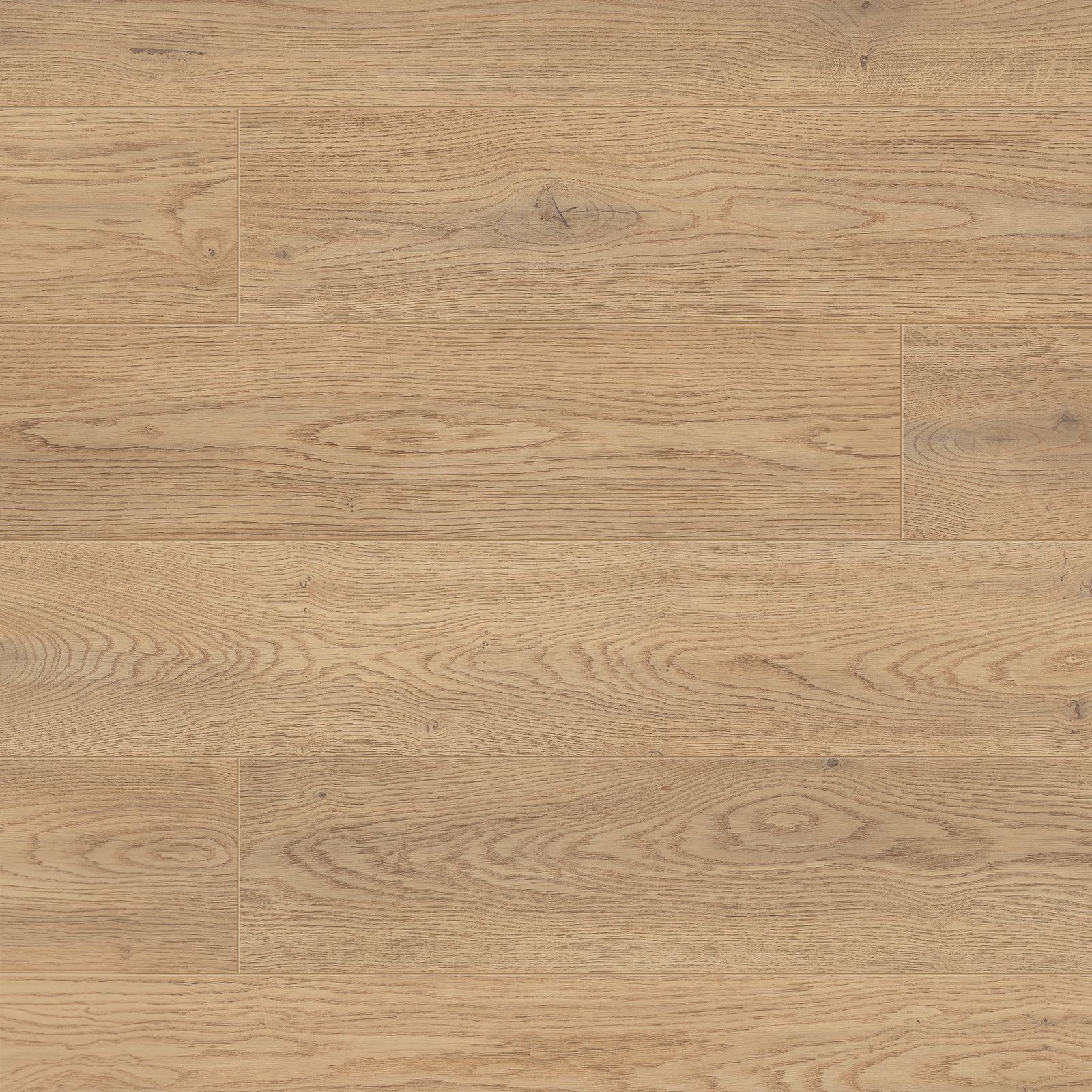 Laminatboden EICHE ANDERSON 2738 AC5 8 mm | NX23202